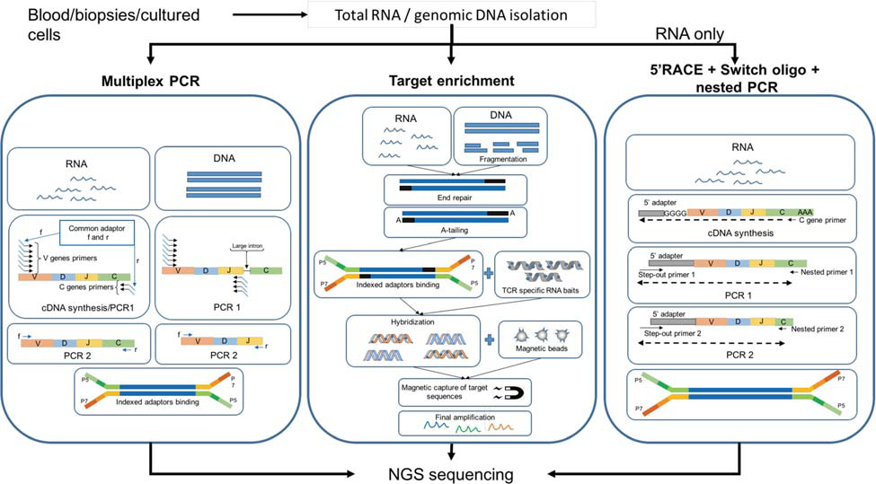 公司介绍_联川生物